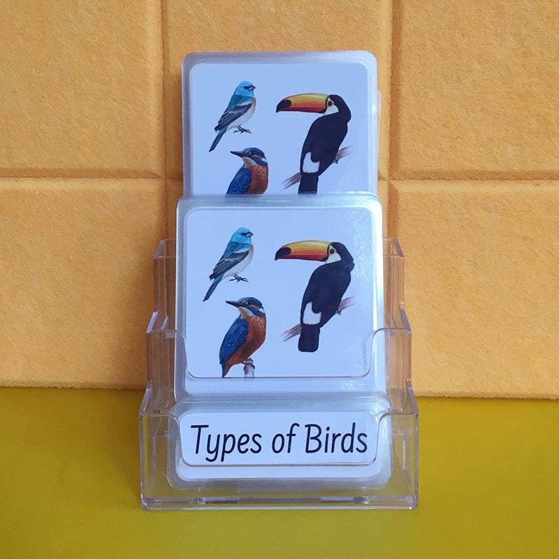 Types of Birds Three-Parts Cards w/ Stand – Adena Montessori